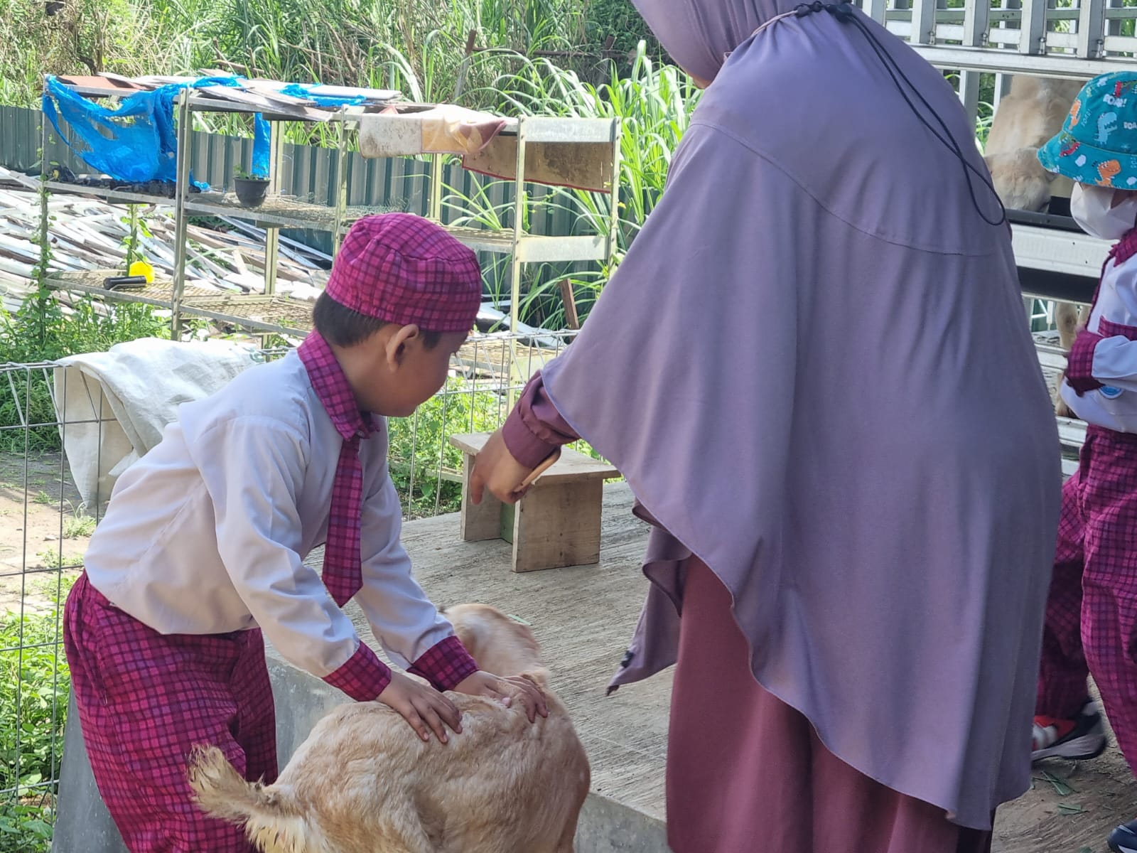 Kunjungan Edukasi TK Islam Al Akhyar ke Kandang Ternak Fakultas ...